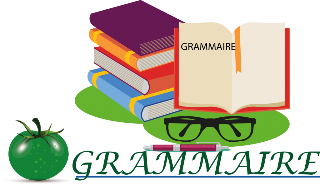 Grammaire Capsules Vid o P dagogie Invers e Grammaire Capsules Vid o P dagogie Invers e